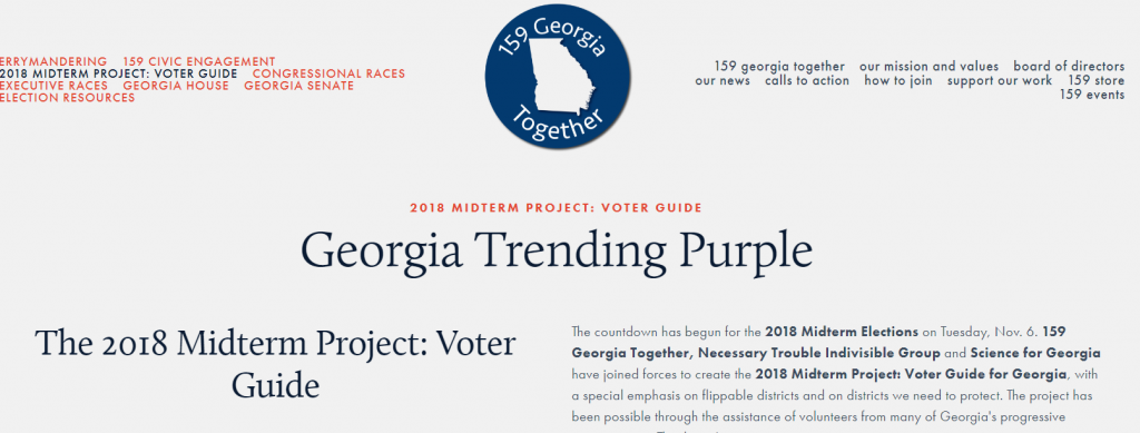 Georgia Voter Guide is here – Brambleman